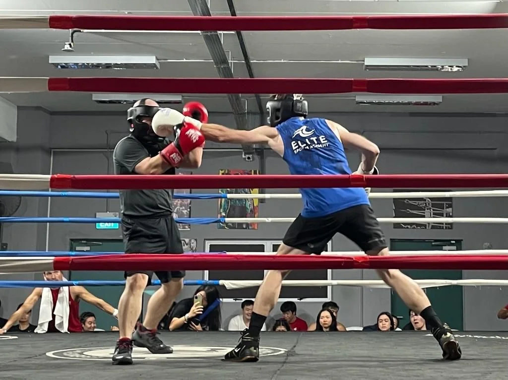 Boxing & MMA — ELITE