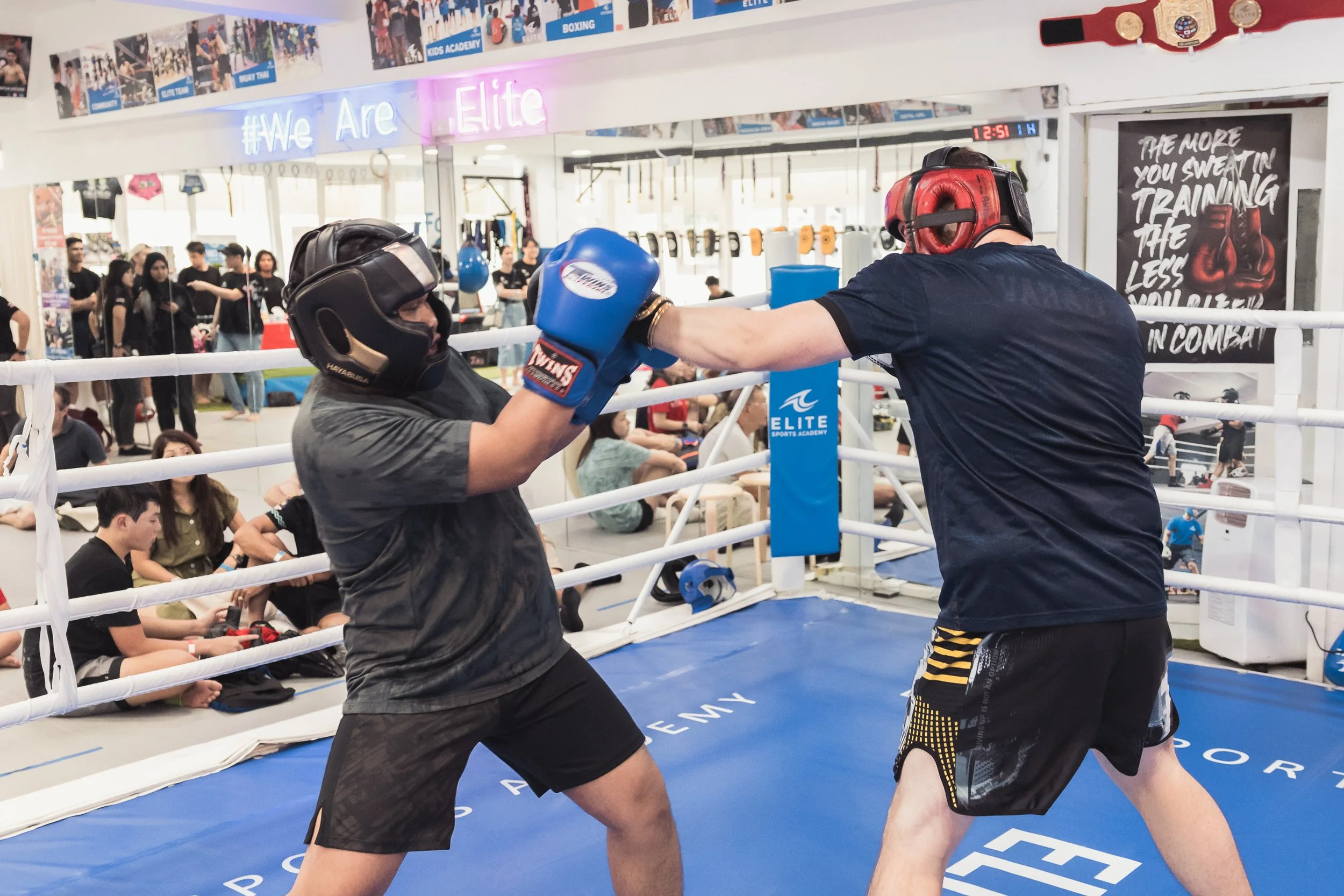 Boxing & MMA — ELITE