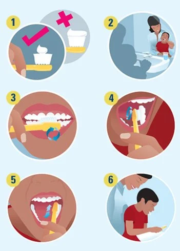 How to brush your child's teeth correctly — Victorian Dental Group