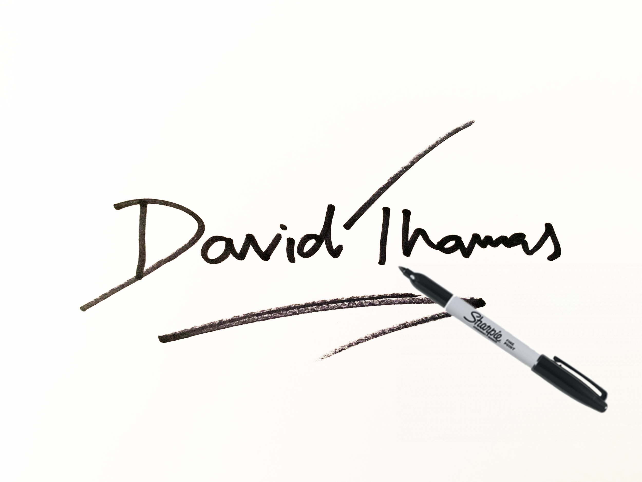 CREATE YOUR OWN SIGNATURE The Signature Logo Logo Design CREATE YOUR OWN SIGNATURE The Signature Logo Logo Design