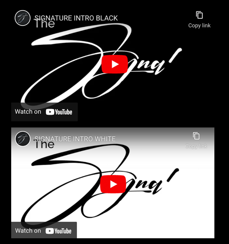 STYLE SELECTION FORM — The Signature Logo - Logo Design