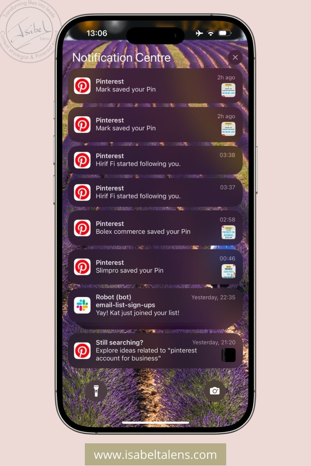 Pinterest Saves Grew My Audience 10.5x Faster—and stopped me hustling ...