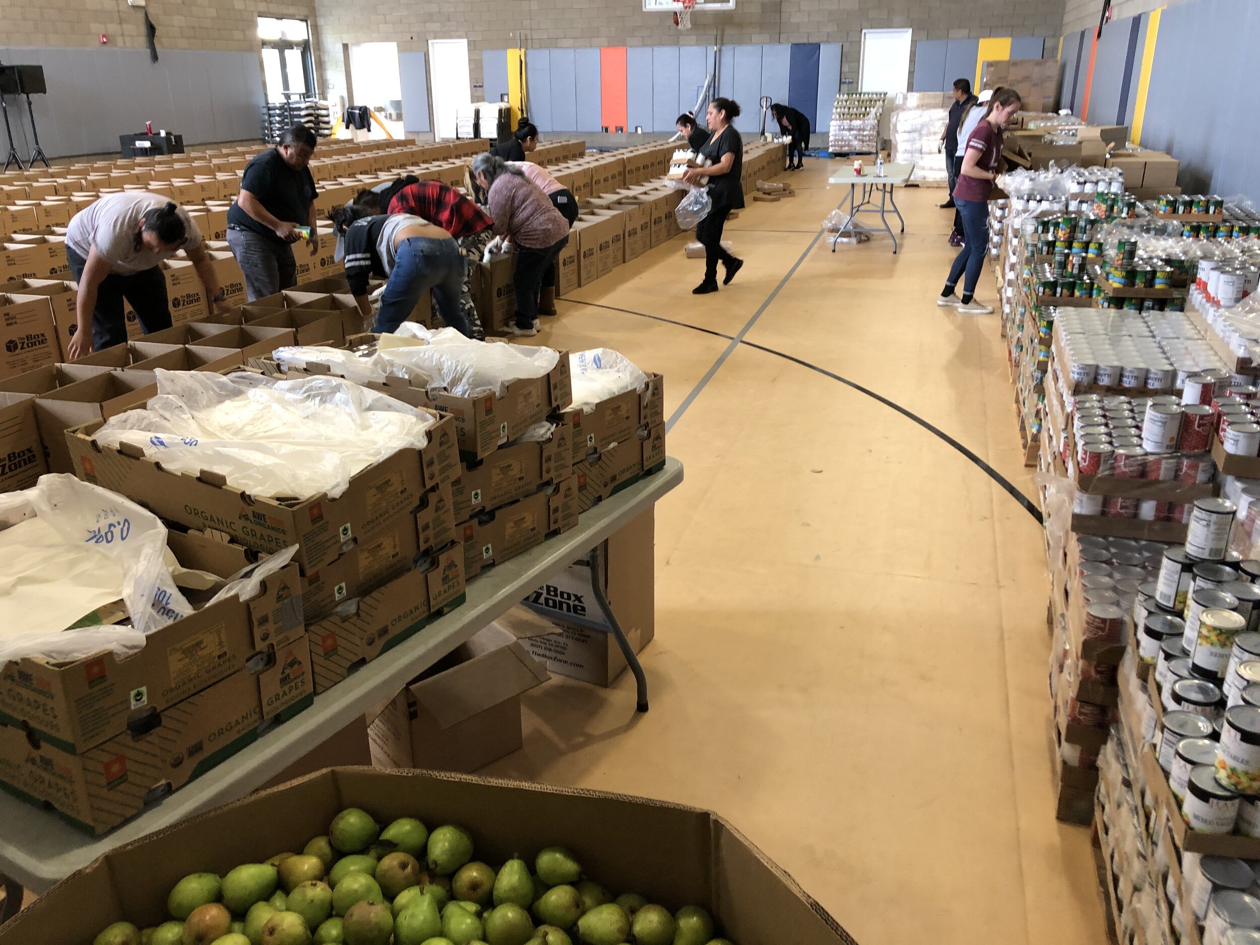 Power Of One Foundation