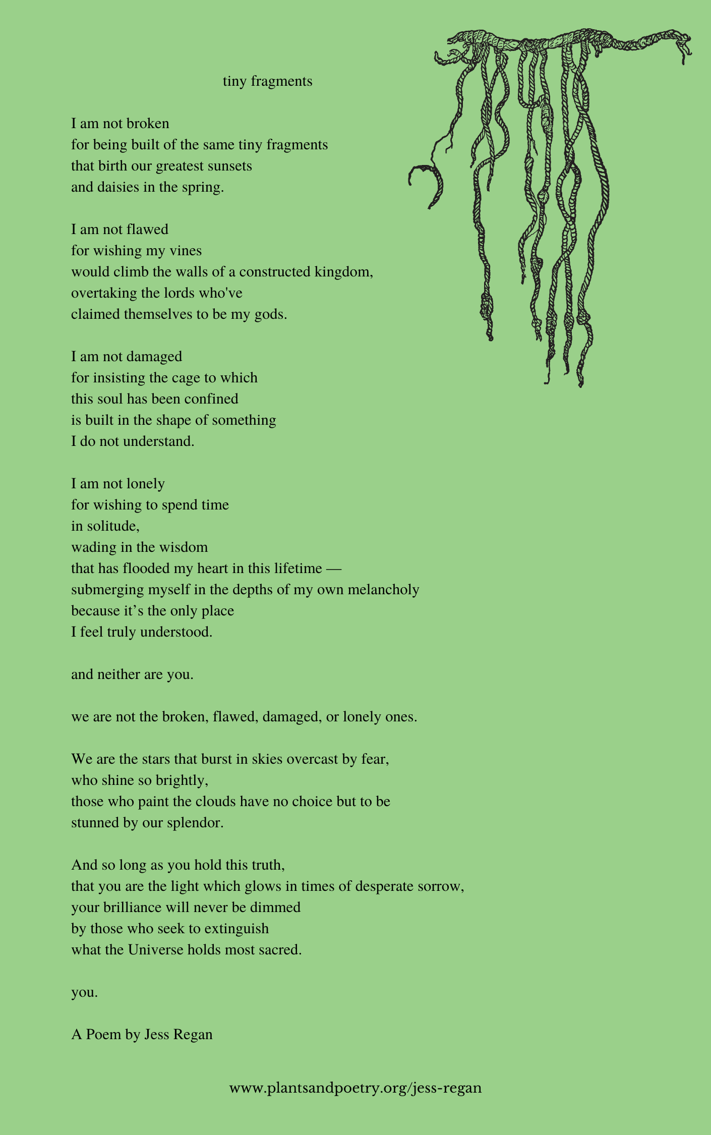 THIRD ISSUE: AUGUST — plants & poetry