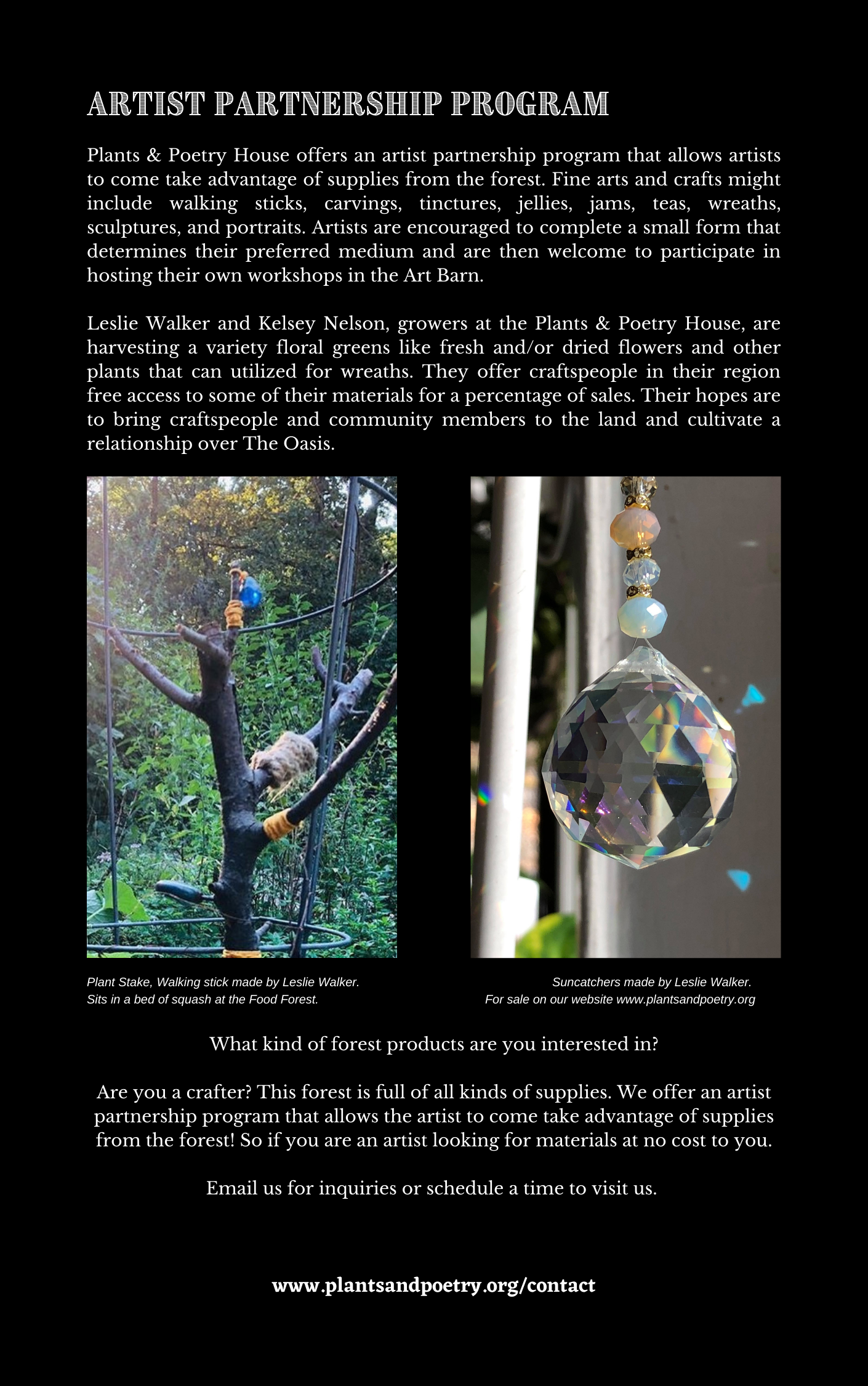 Art Meets Science: Examining Conservation & Biodiversity. — plants & poetry
