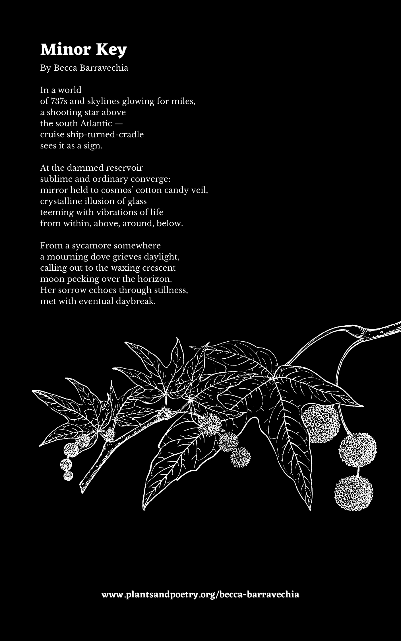 Art Meets Science: Examining Conservation & Biodiversity. — plants & poetry