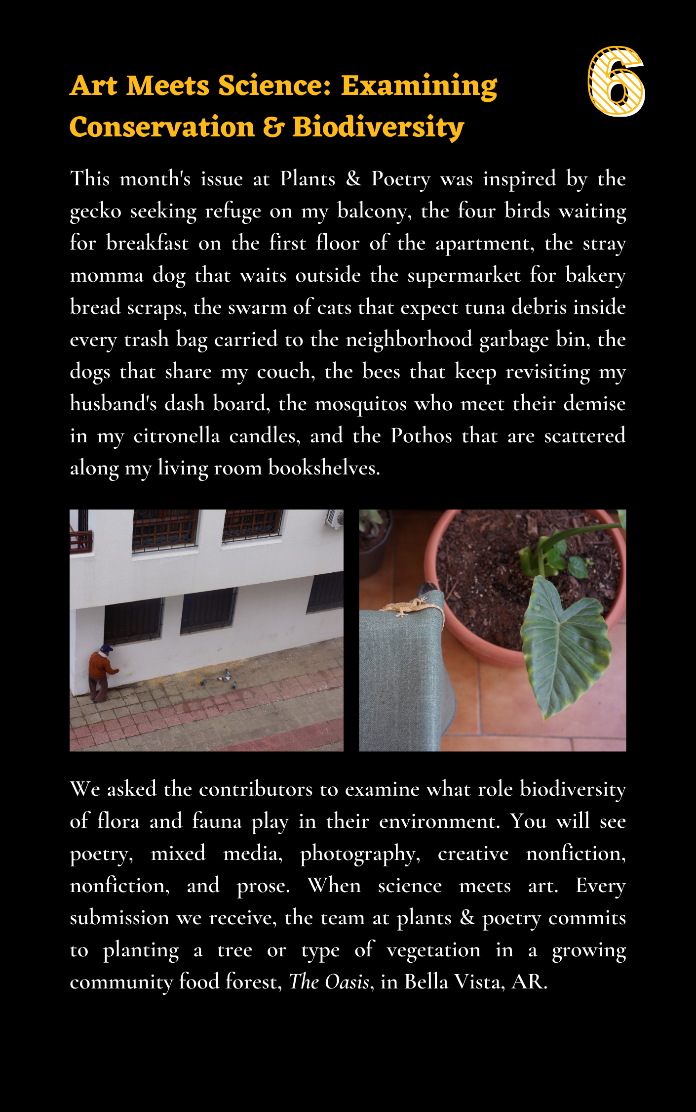 Art Meets Science: Examining Conservation & Biodiversity. — plants & poetry