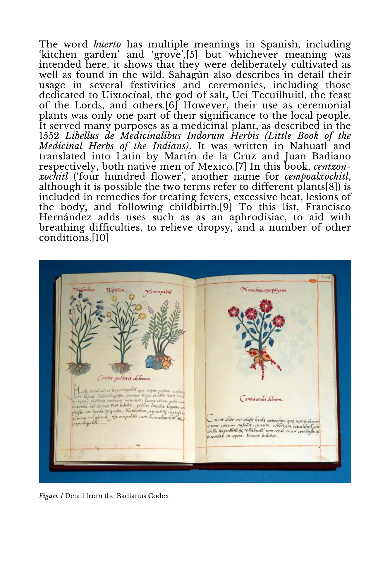 Plant People Vol. 2 — plants & poetry