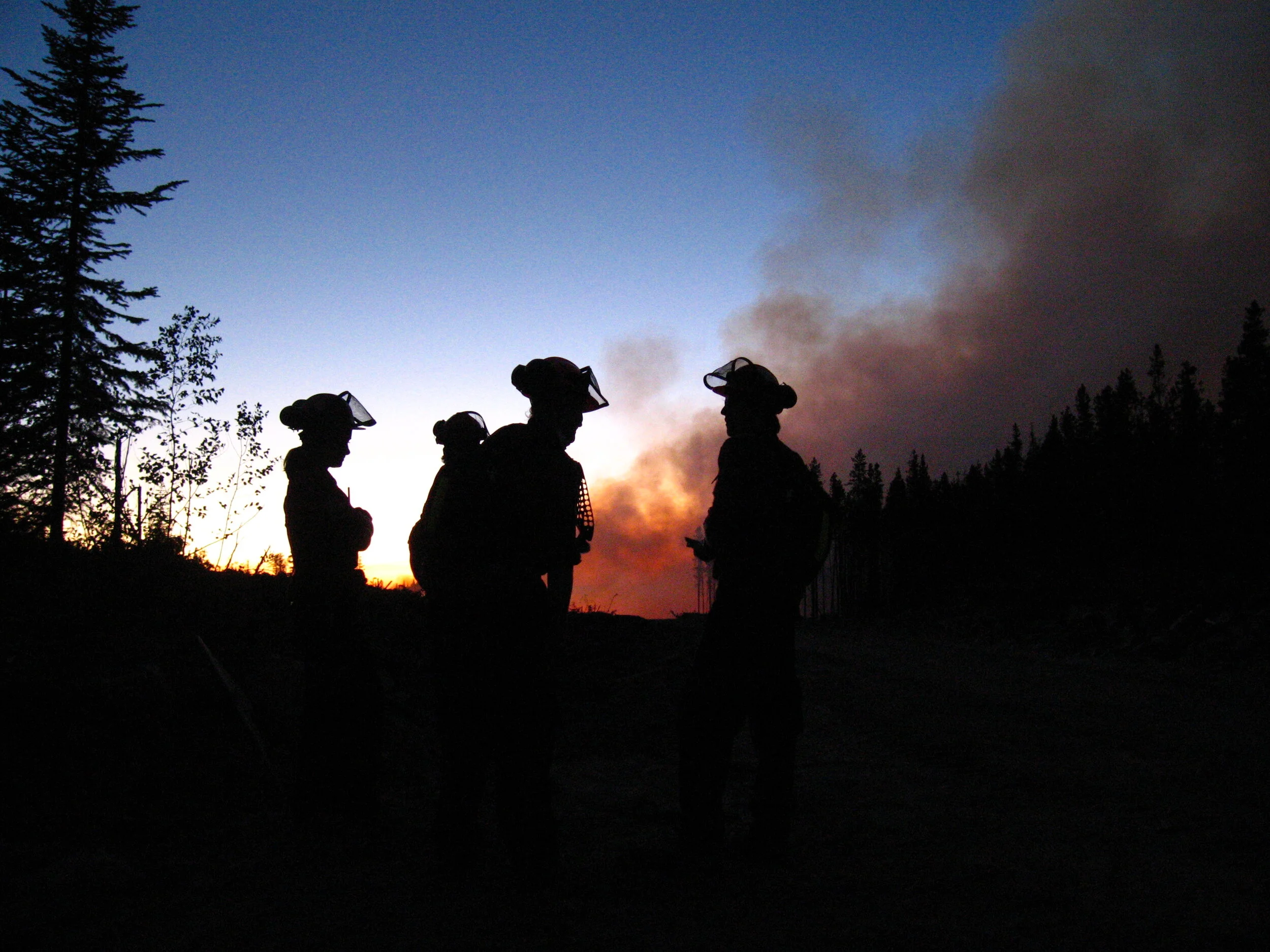 BCWS Fire Crews | Balfour | Revelstoke — Loki Tree Service