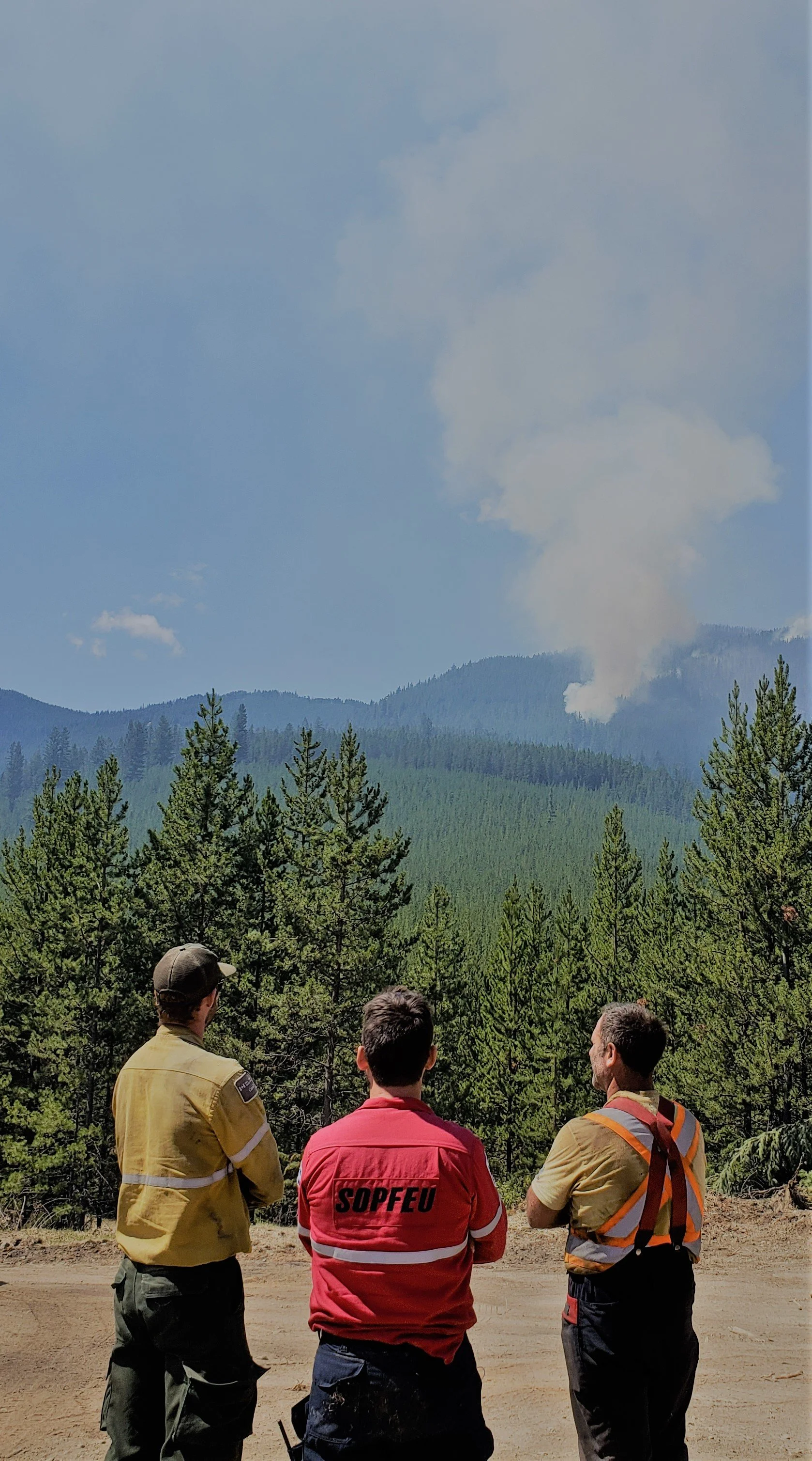 Wildfire Crew and Single Resource Application Form — Loki Tree Service