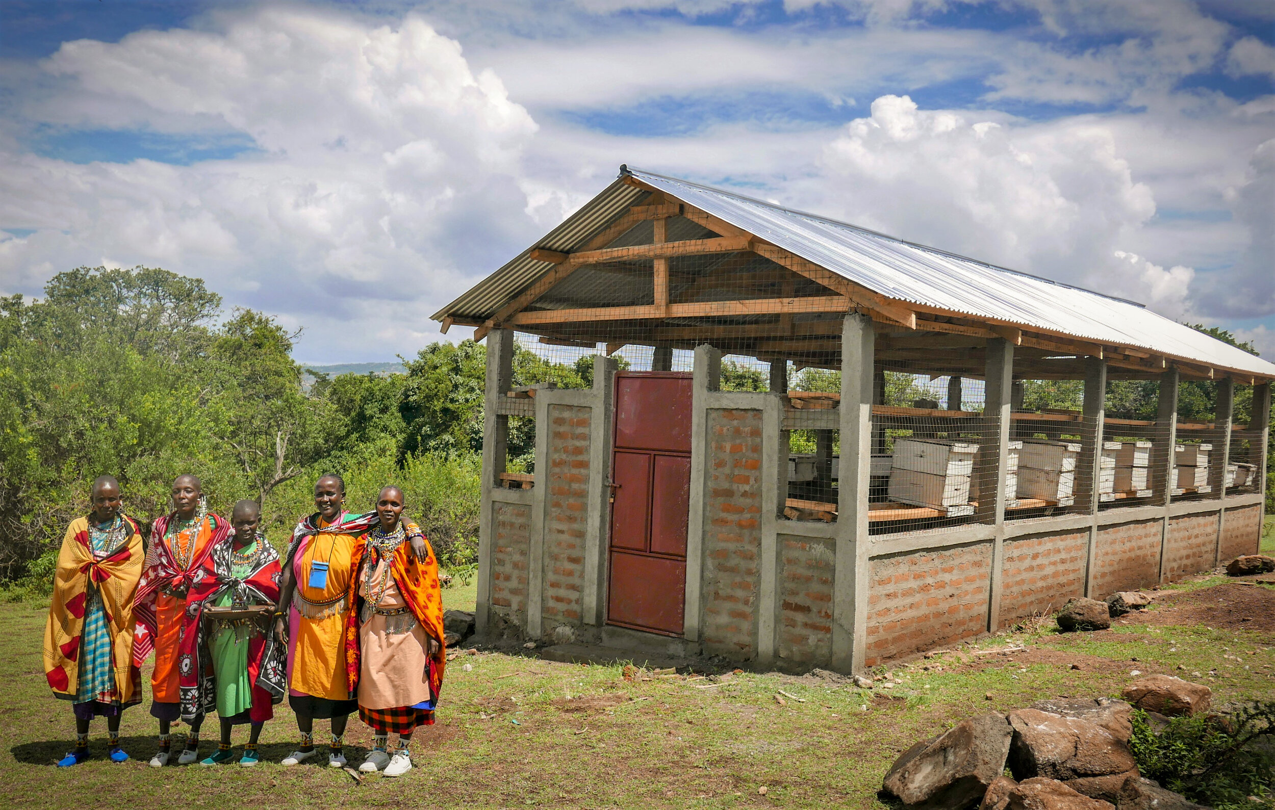 Ololosokwan Apiaries — Maasai Honey