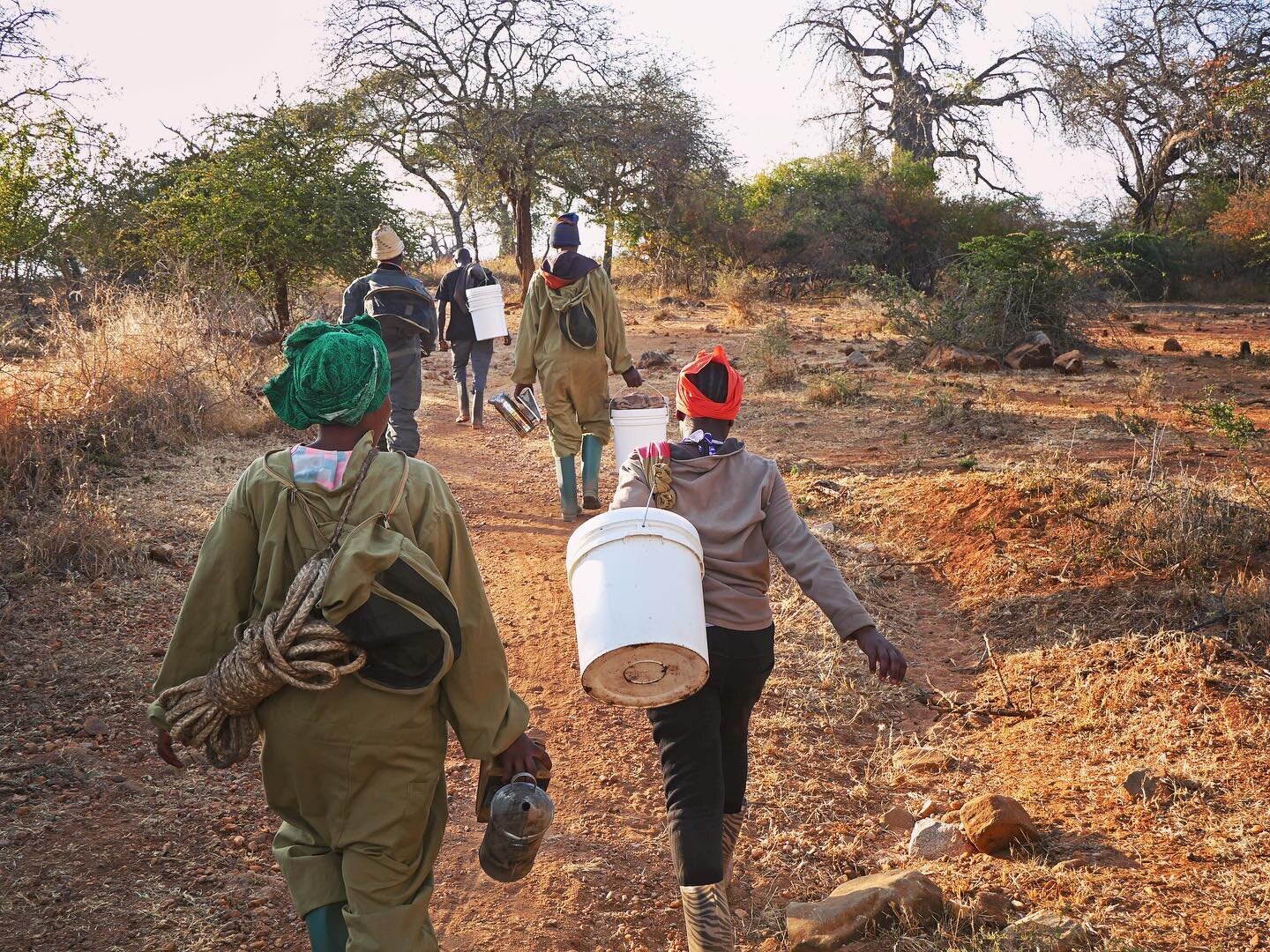 Maasai Honey - Beekeeping in TZ