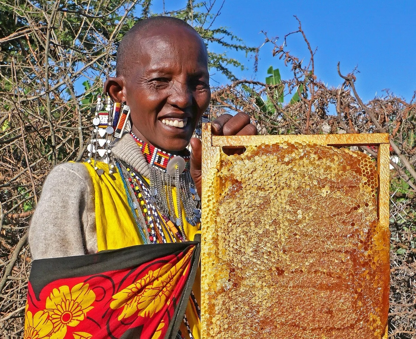 Maasai Honey - Beekeeping in TZ