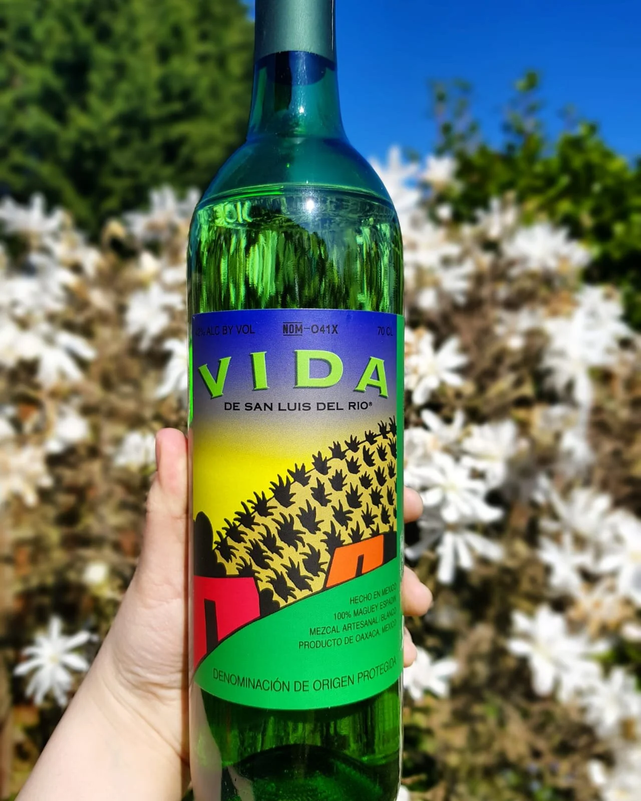 HOP/SCOTCH Whisky Bar Liverpool