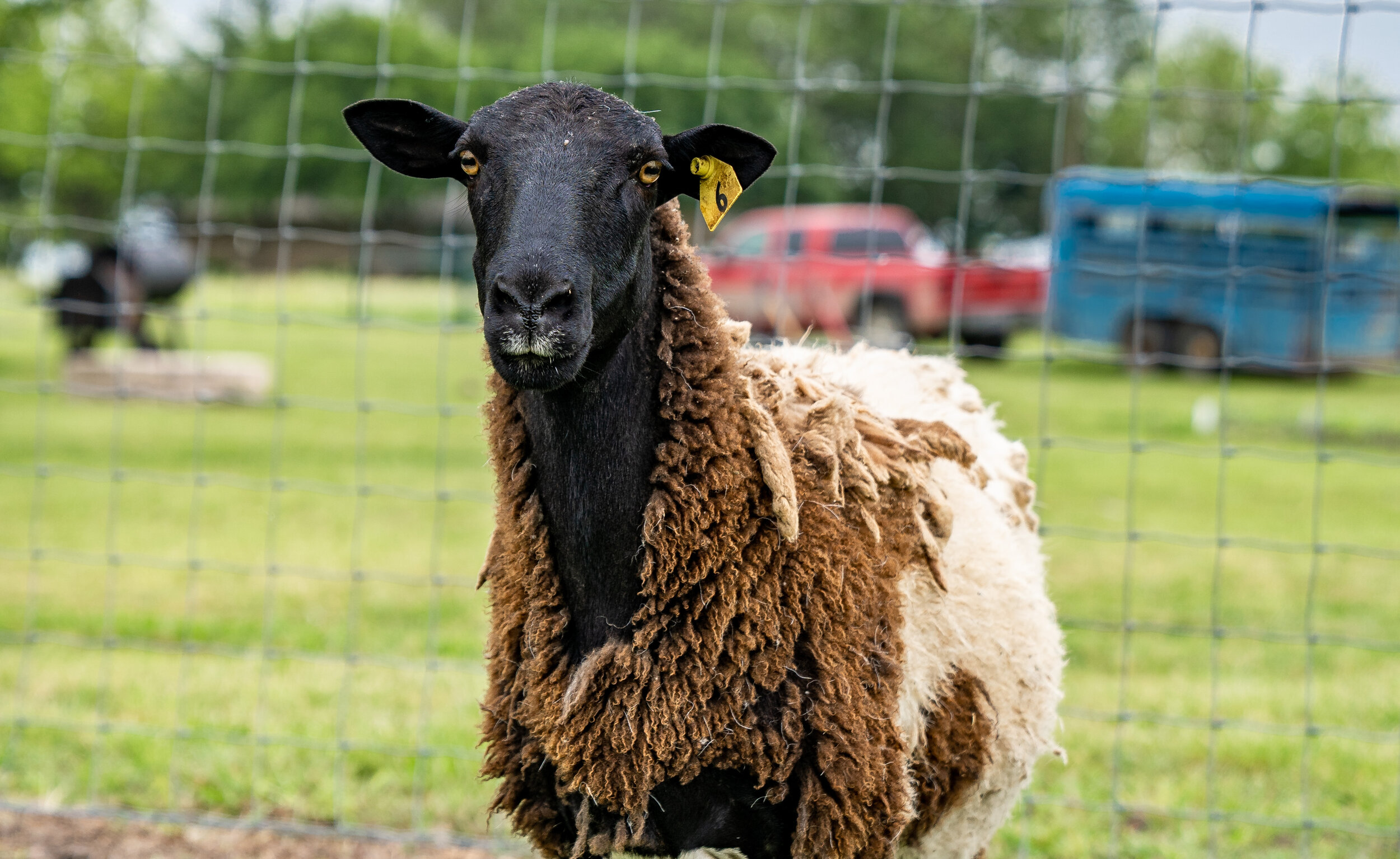 The Silo House At Laughing Llama Farm - Vacation Rental
