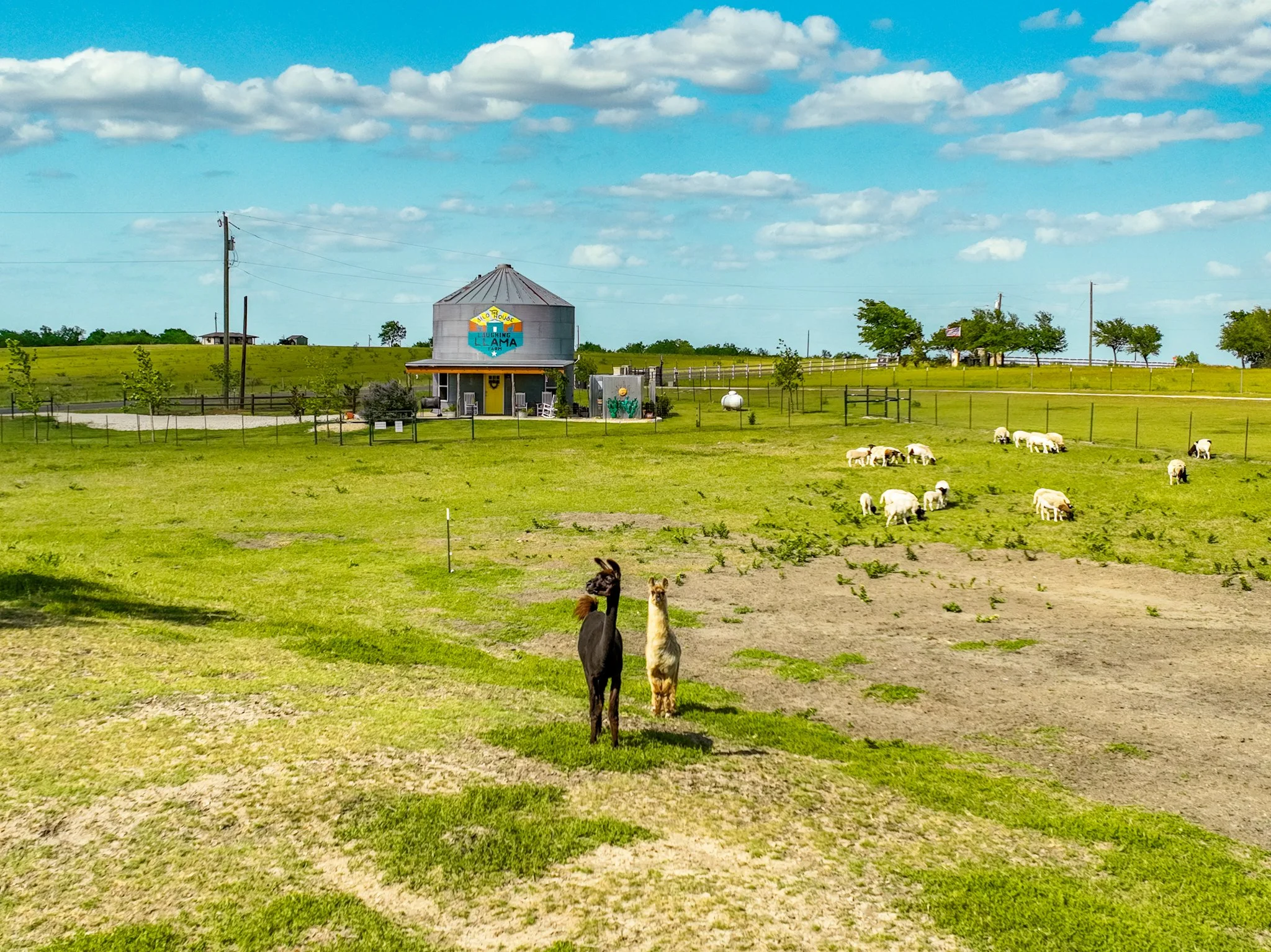The Silo House At Laughing Llama Farm - Vacation Rental