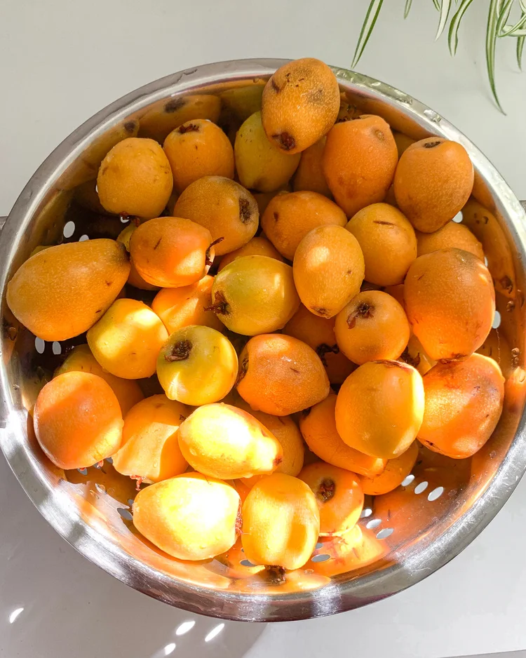 Loquat Fruit Crisp, Vegan, Gluten-Free — Well is More