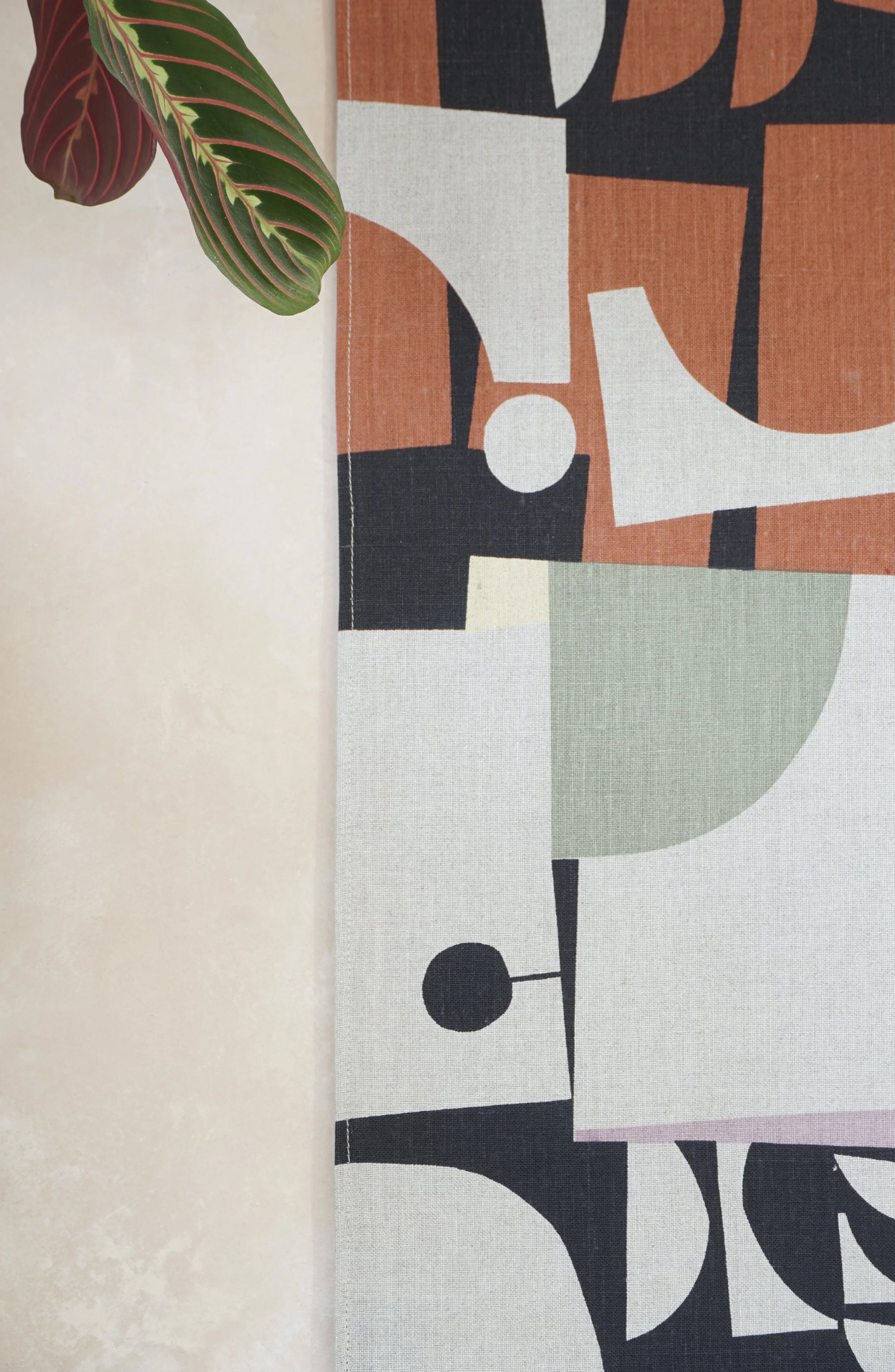 Shop — Eve Campbell