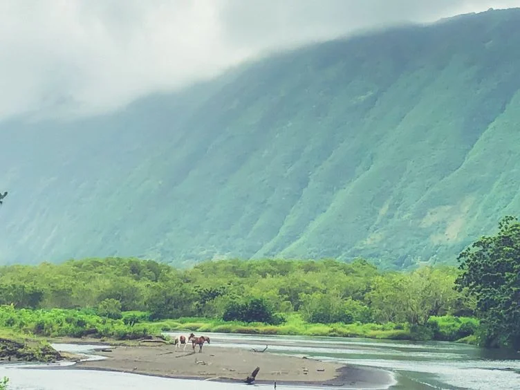 Waipio Valley Hike Guide: Directions, Length, and Trail Map — Home ...