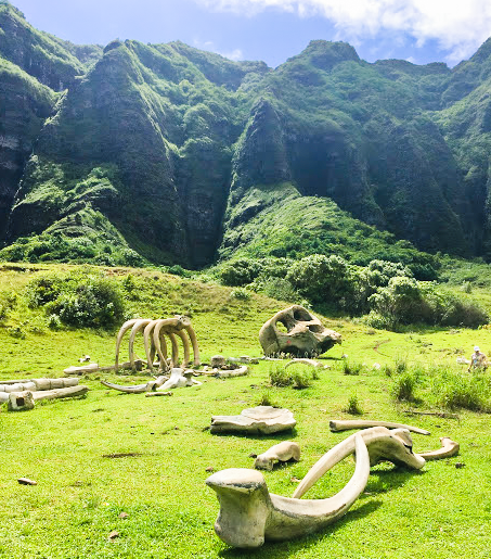 Kualoa Ranch: Jurassic Park of Hawaii Review — Home & Jet — home ...