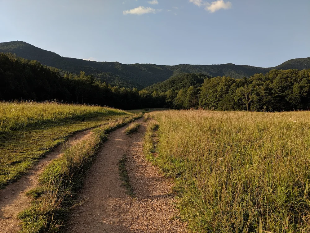 The Ultimate Tennessee Hiking Guide: 12 Hikes for Any Season — Home ...