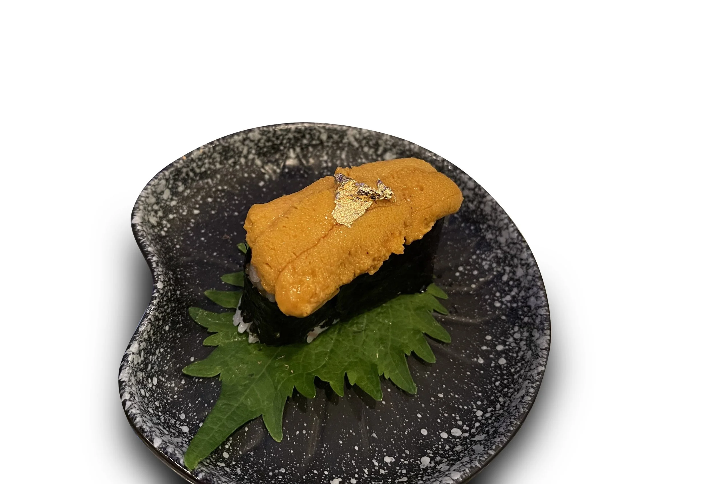 Gallery — sushi koi