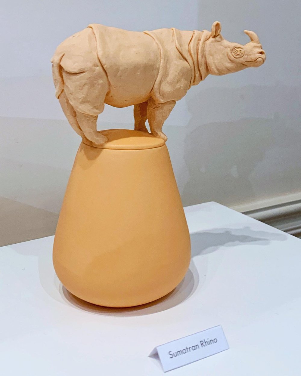 Exhibition by Charlotte Mary Pack at Maison Huit — galleries gal