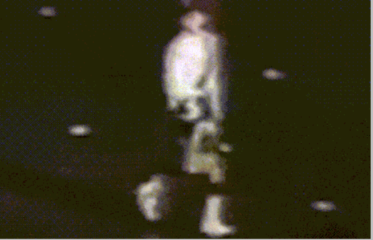 Exhibition “Rediscovery” by Annie Wan at Giant Year Gallery — galleries gal