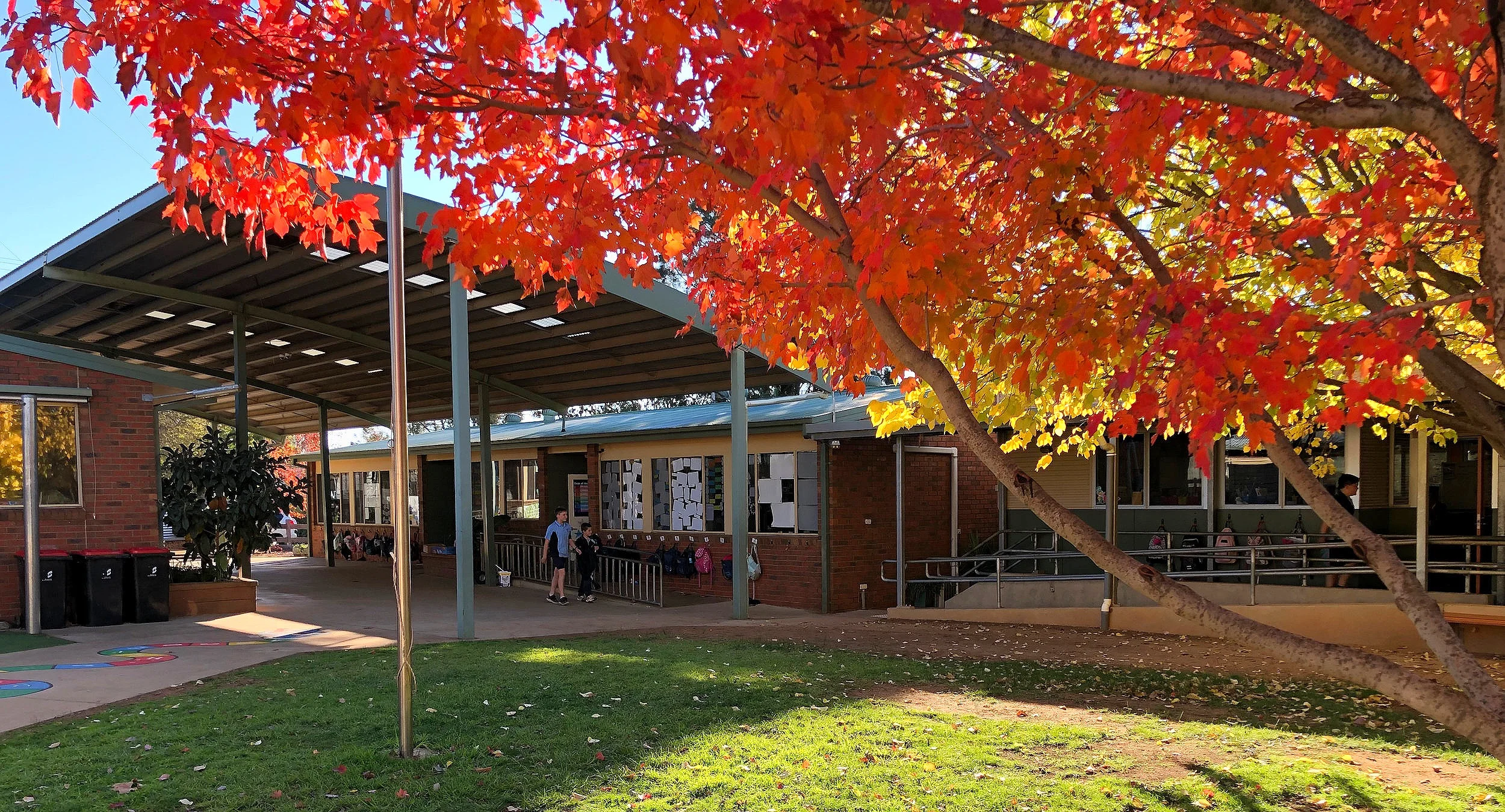 Dookie Primary School