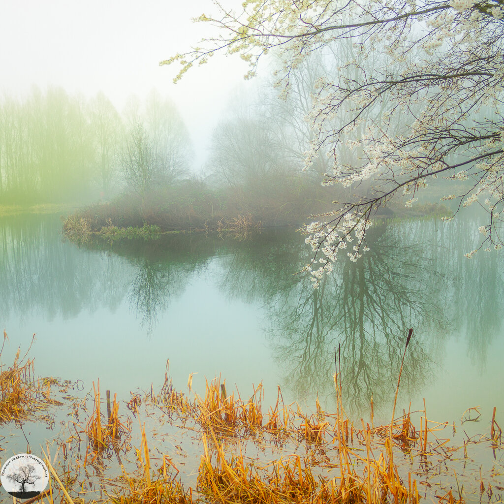 blog — Robert Felton Photography