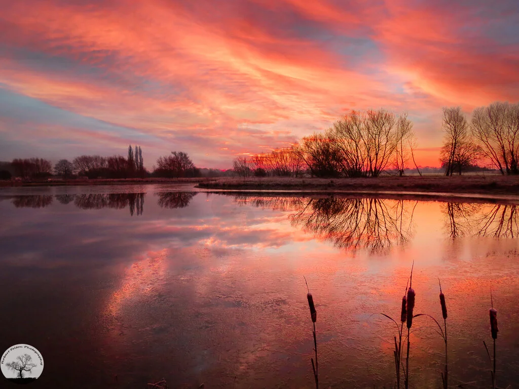 blog — Robert Felton Photography