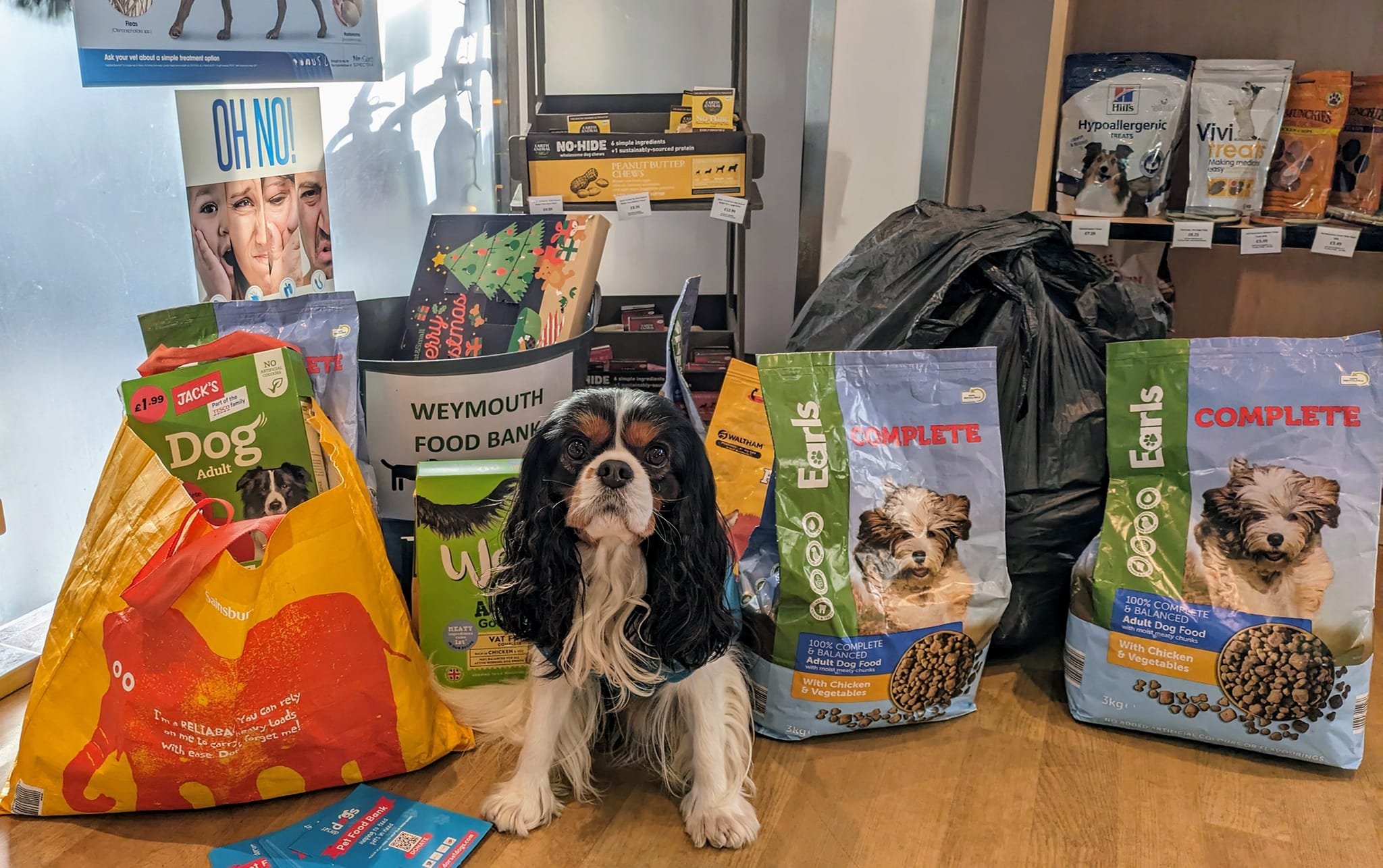 Pet Food Bank — Dorset Dogs CIC OFFICIAL - Pet Food Banks