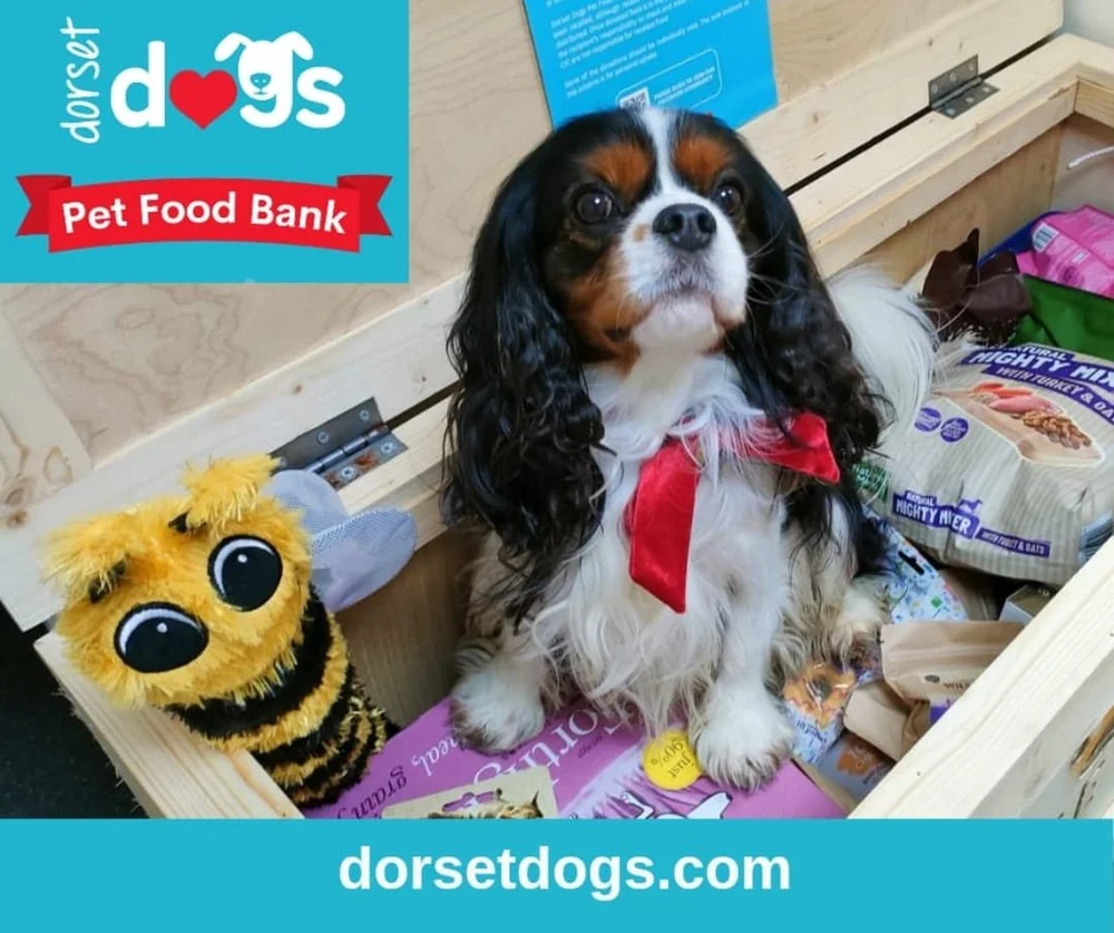 Dog Friendly Dorset - Merlin's Pet Food Banks