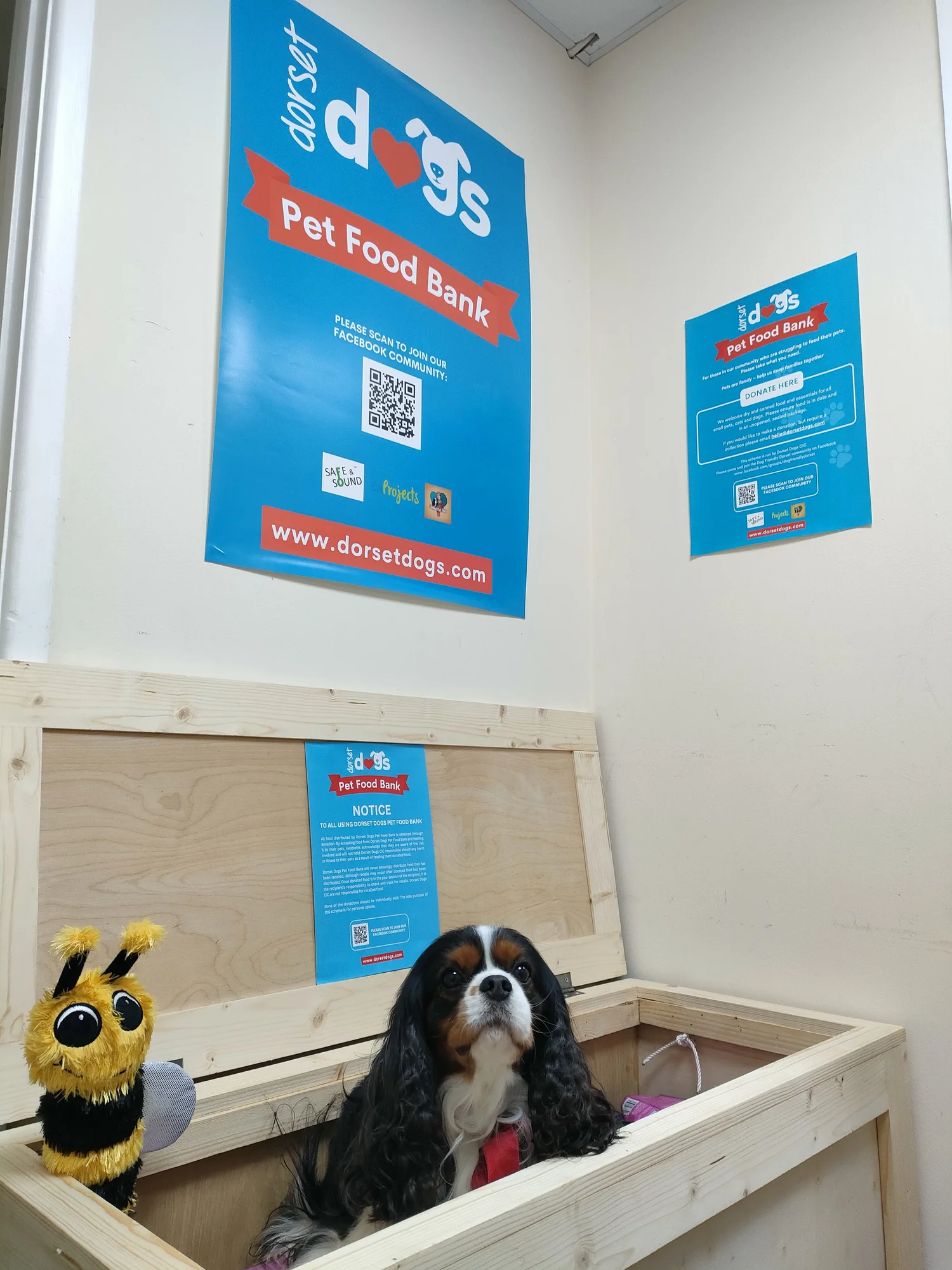 Pet Food Bank — Dog Friendly Dorset - Merlin's Pet Food Banks