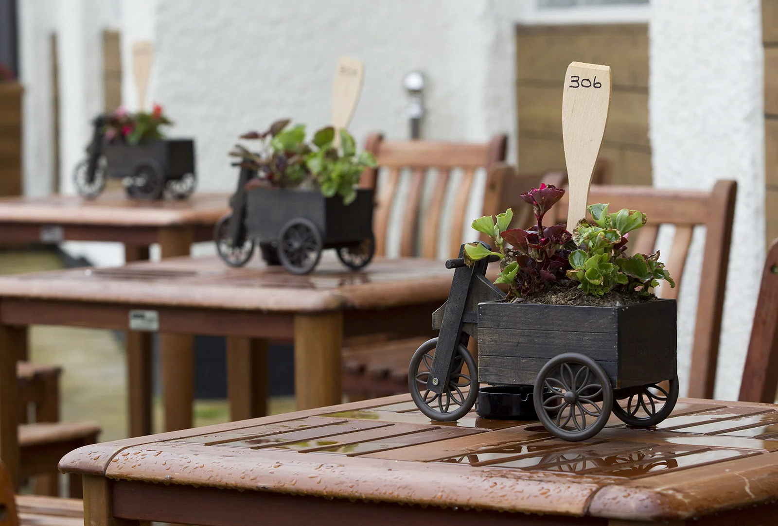 GALLERY — THE ELIZABETHAN