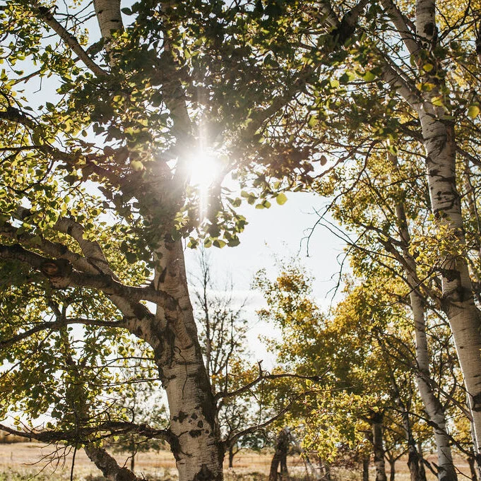 FIELD STUDIO LANDSCAPE ARCHITECTS-Ranch planning, ecological design ...