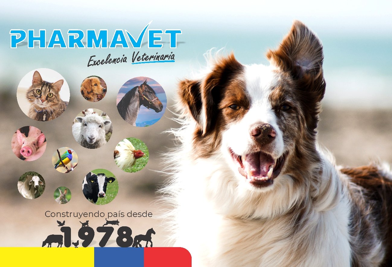 Búsqueda Avanzada — Pharmavet Laboratorios