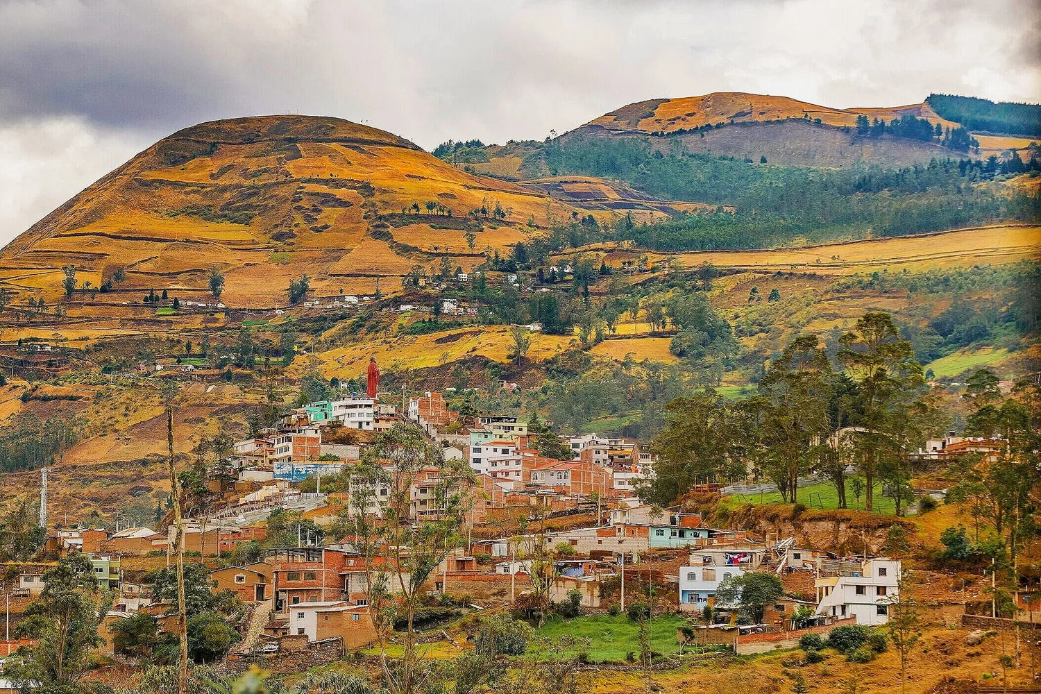 Global Land Alliance