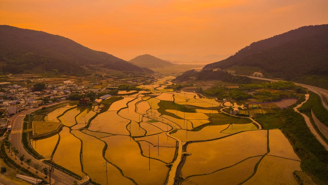 Global Land Alliance