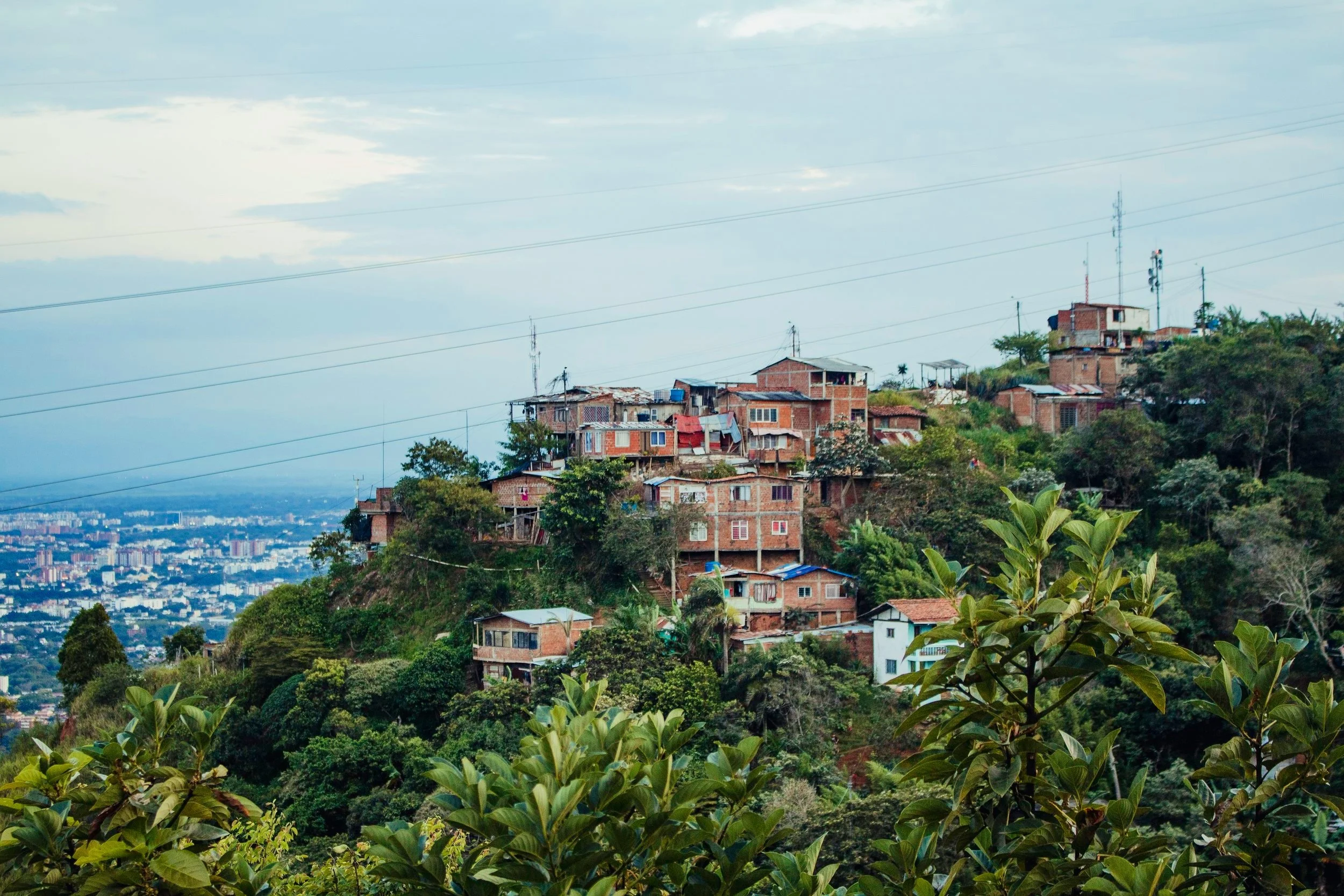 Global Land Alliance