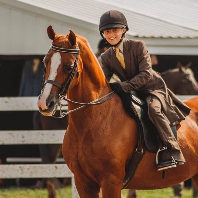Lesson Horses — Imperial Equestrian