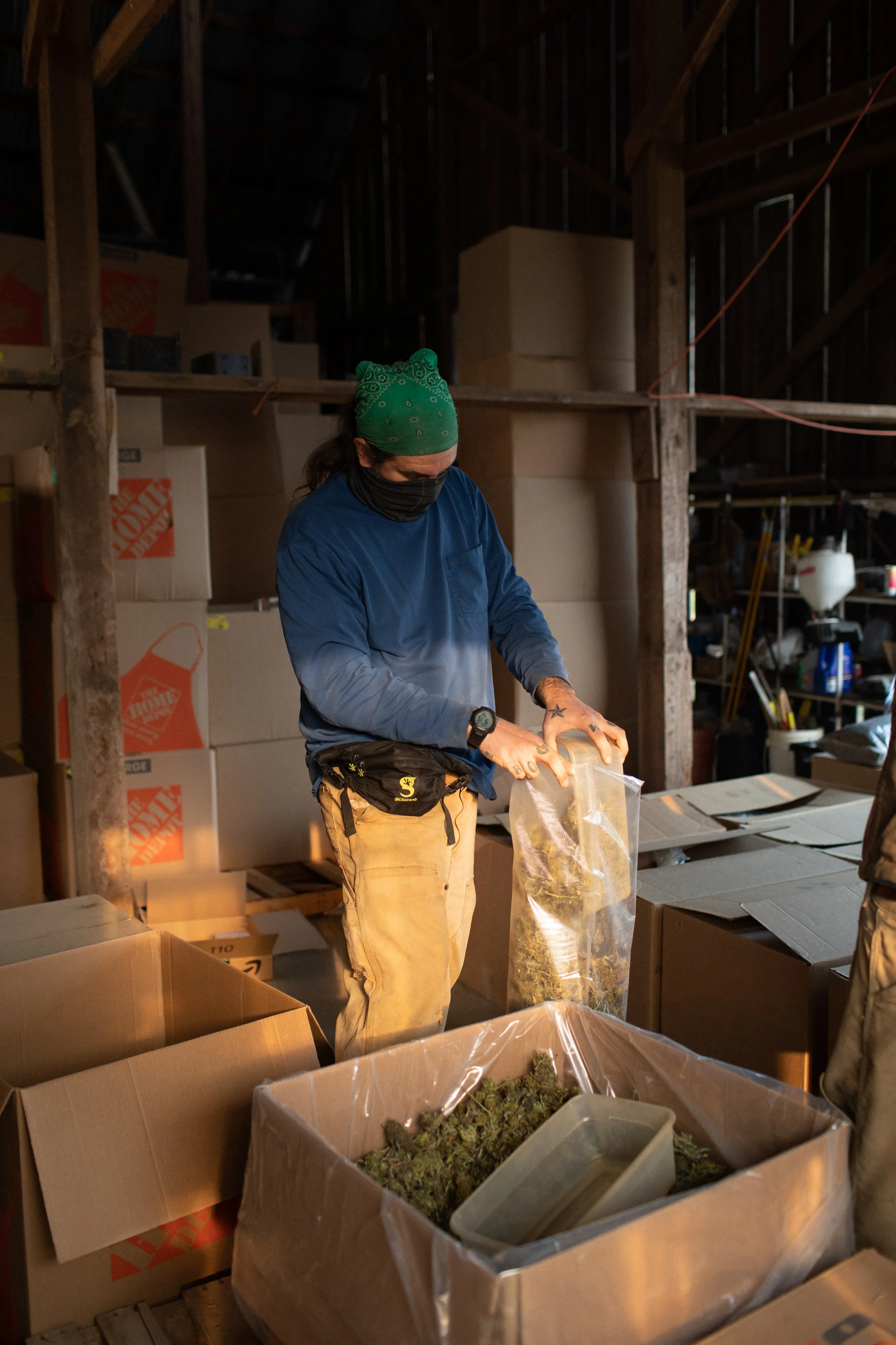 How East Fork Cultivars Dries Hemp Flower in a Kiln — East Fork Cultivars
