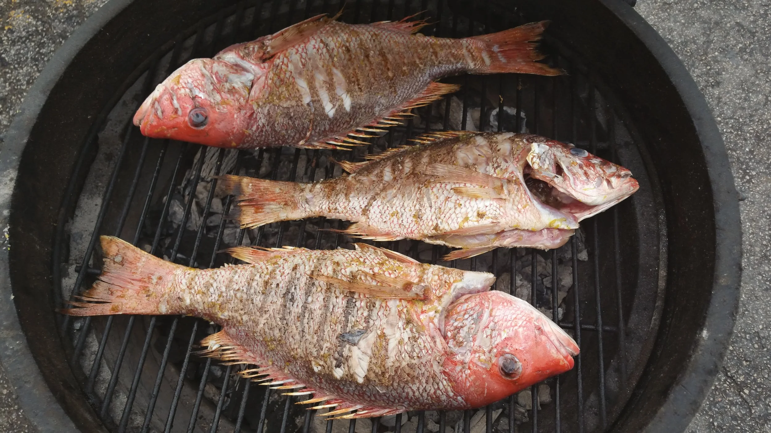 Gallery — Dirk's Fish