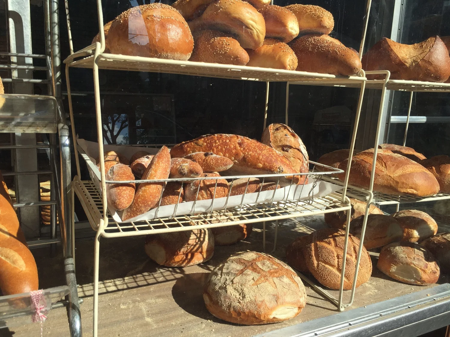 A New York Treat: Pane con Ciccioli — The Italian Garden Project