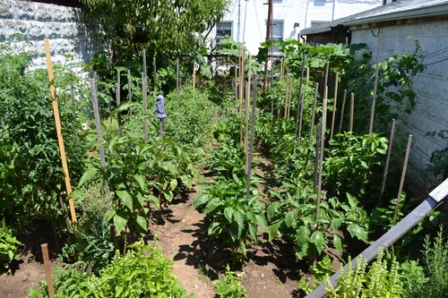 Garden Gallery — The Italian Garden Project