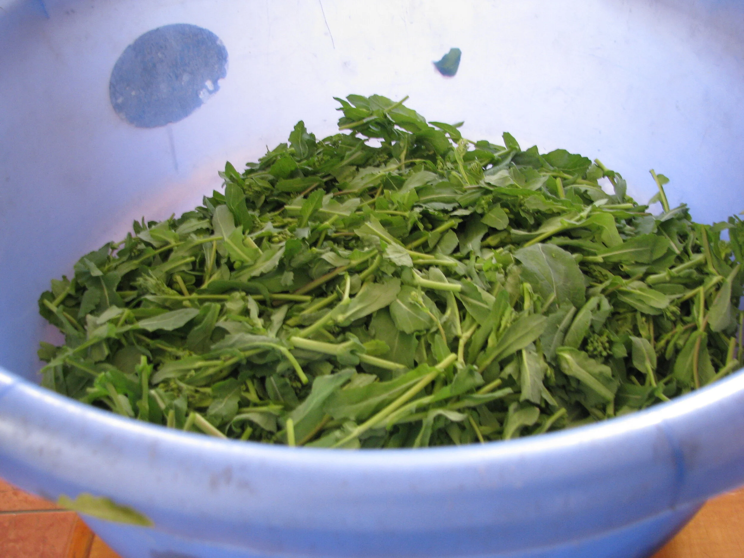 Growing and Cooking Rapini — The Italian Garden Project
