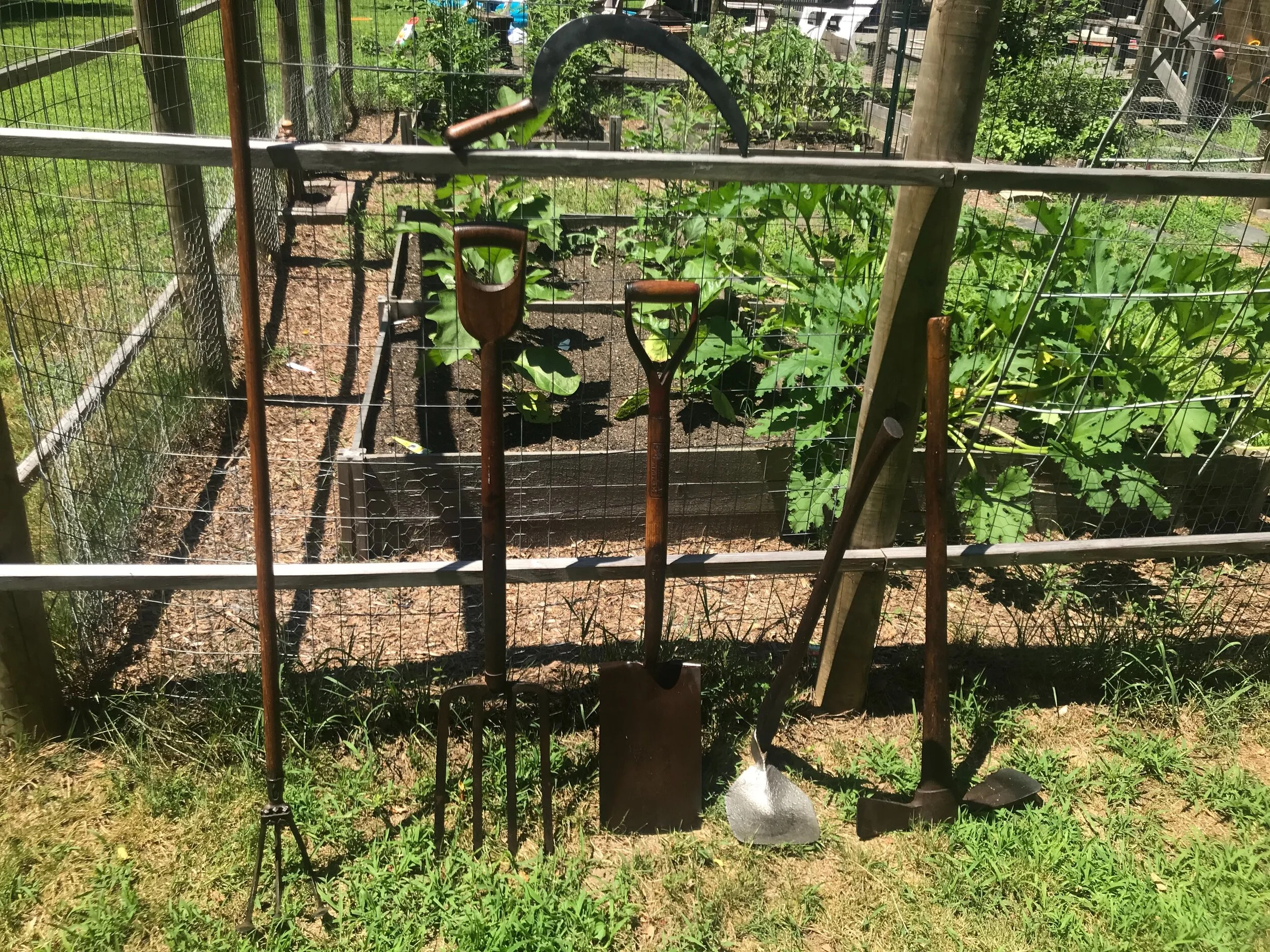 An Italian Gardners Heirlooms — The Italian Garden Project