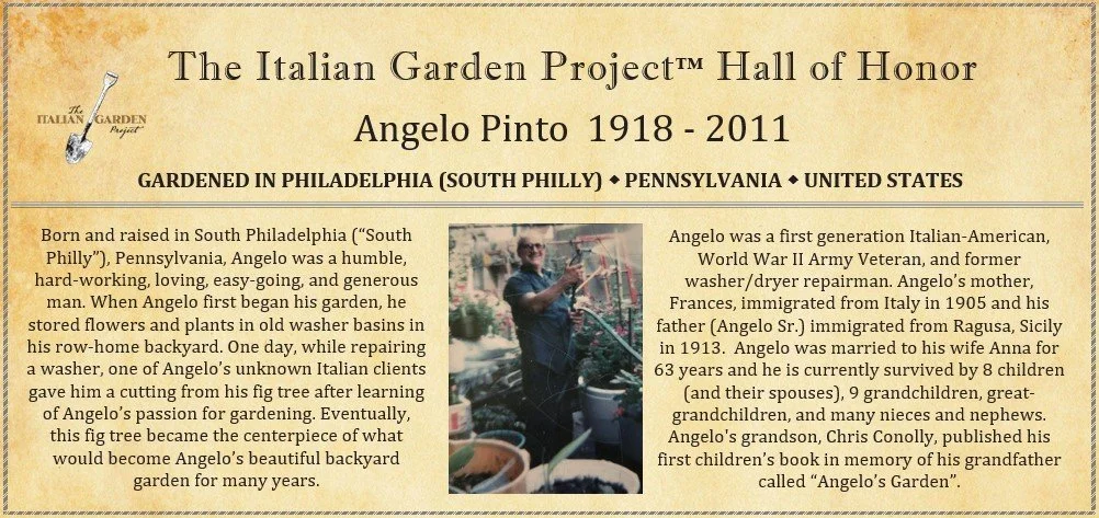 Angelo Pinto — The Italian Garden Project