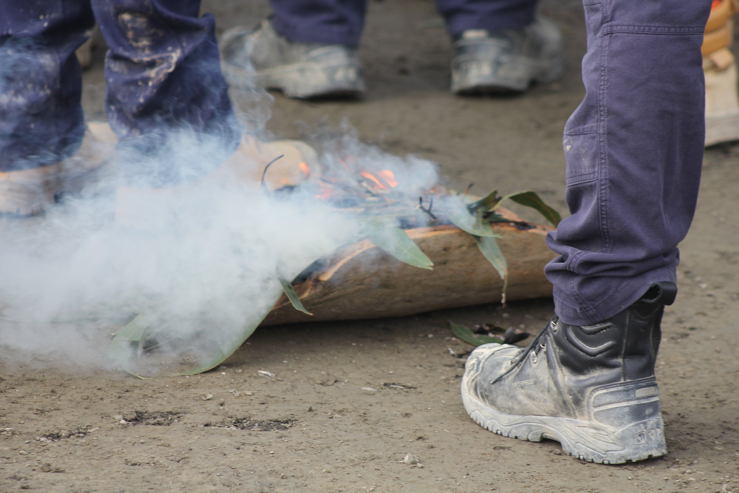 Project Updates — Future Generation Joint Venture