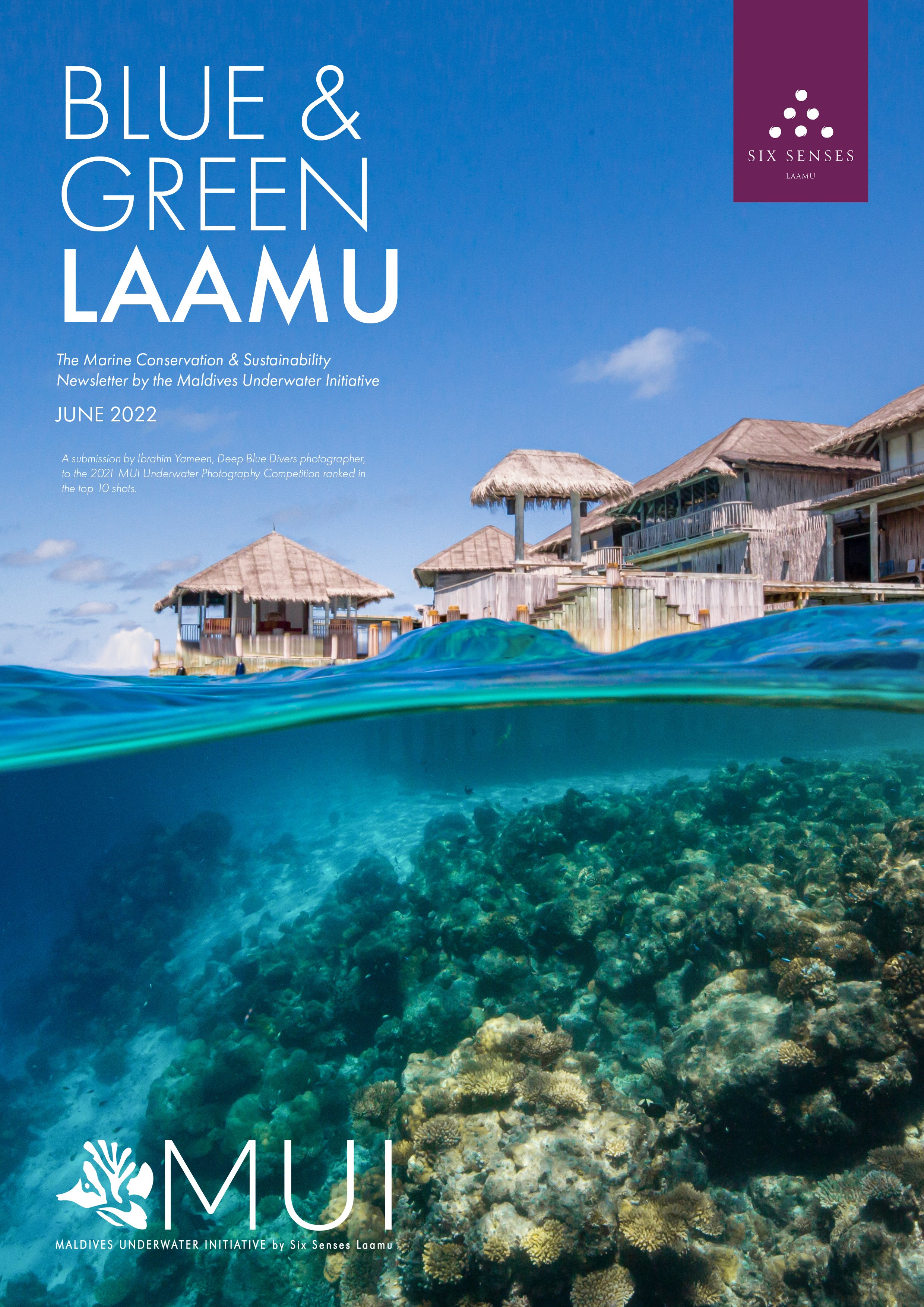 Blue & Green Laamu Newsletter — MUI By Six Senses Laamu